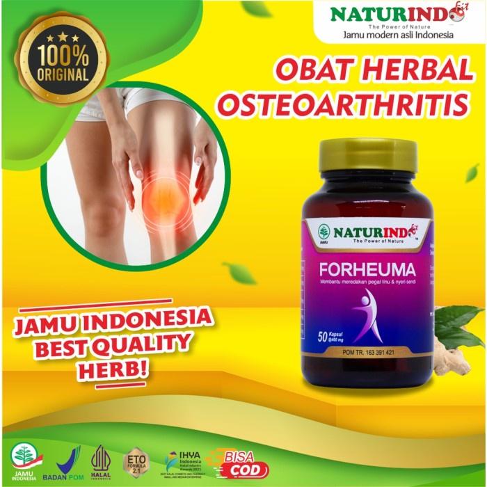 Jual Obat Rematik Rheumatik Kapsul HERBAL Osteoarthritis Pengapuran ...
