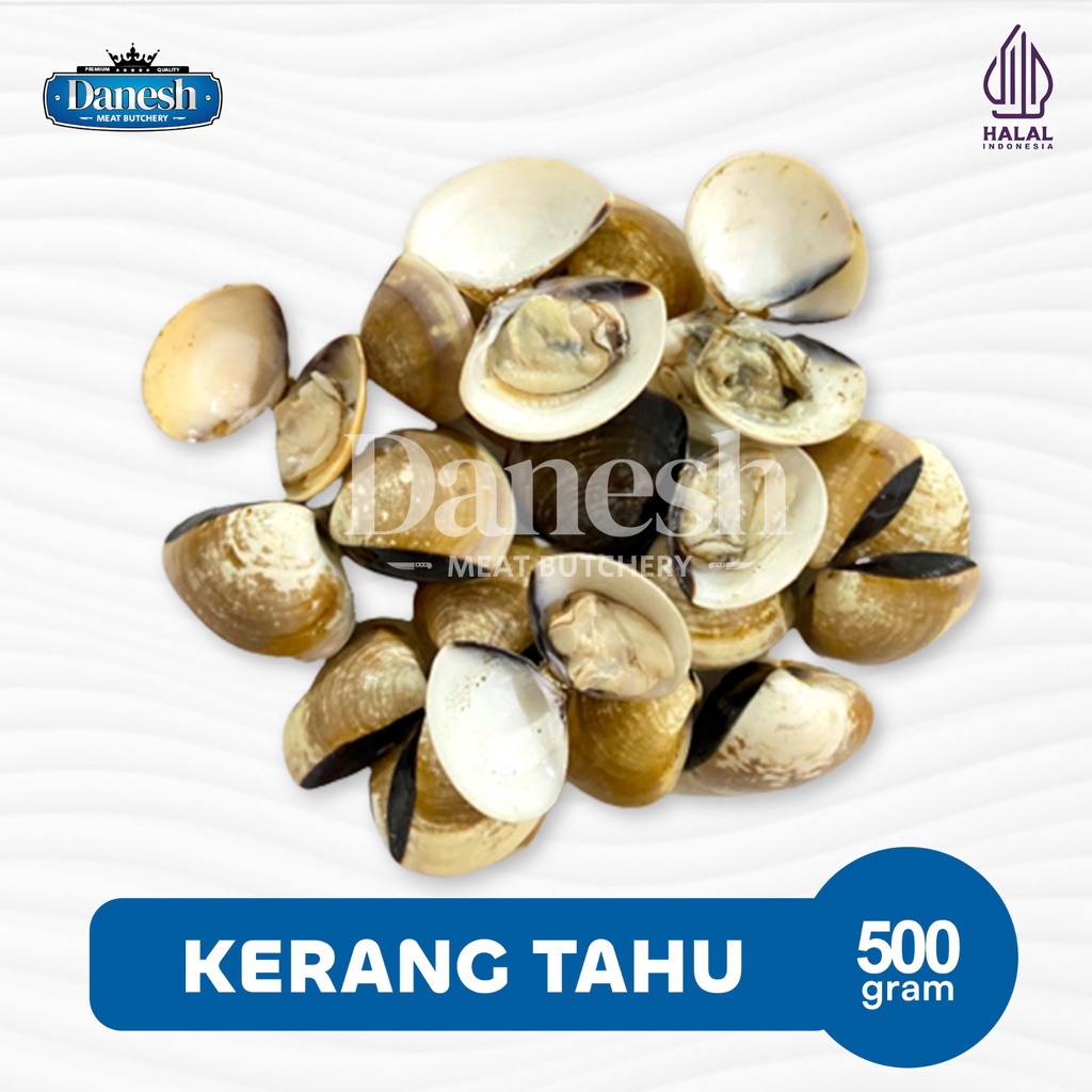 Jual Kerang Tahu 500gr Fresh Frozen Food | Shopee Indonesia