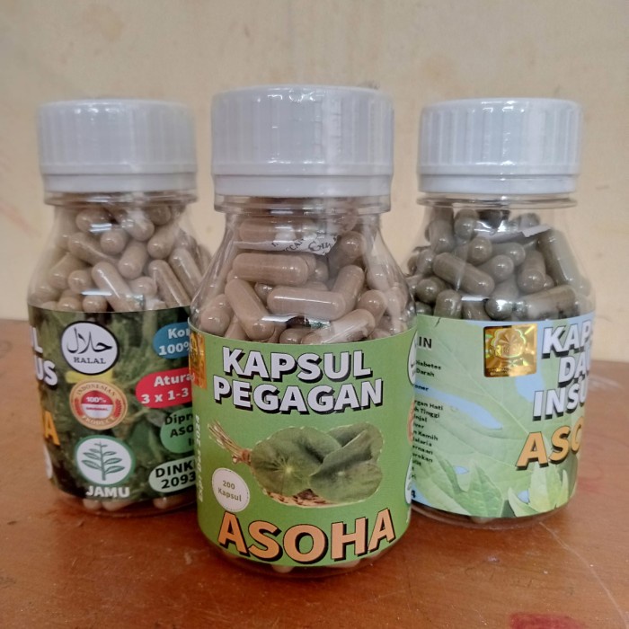Jual Kapsul Pegagan Isi 200 ASLI .ALAMI. ORGANIC | Shopee Indonesia