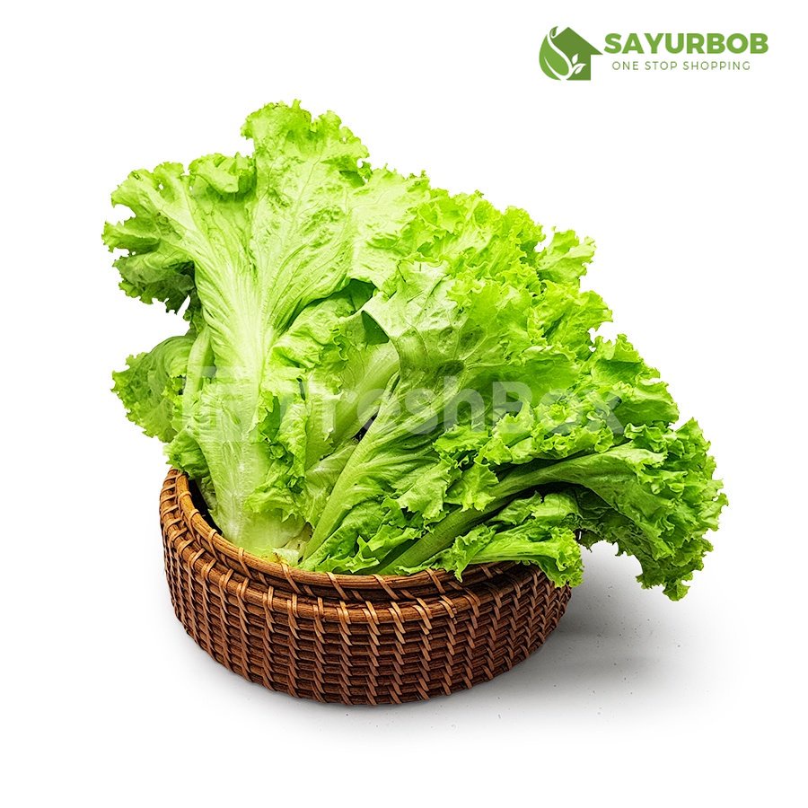 Jual Selada Keriting 500 gr SayurBob | Shopee Indonesia