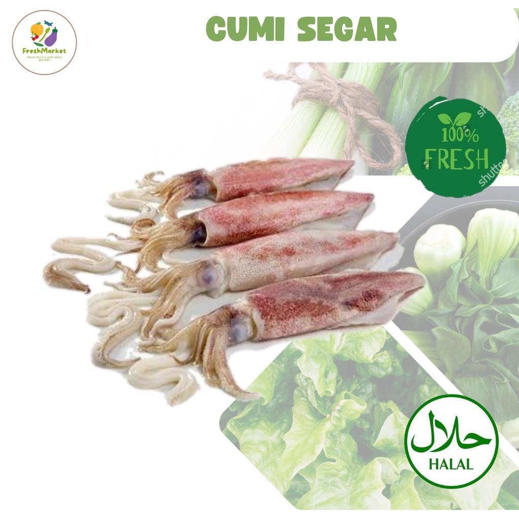Jual Cumi Segar 1Kg Freshmarketlampung | Shopee Indonesia