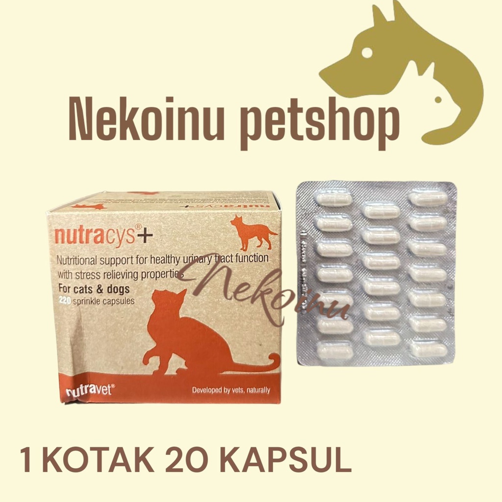Jual Nutracys Plus Urinary Tract / Masalah Kemih / Susah Kencing ...