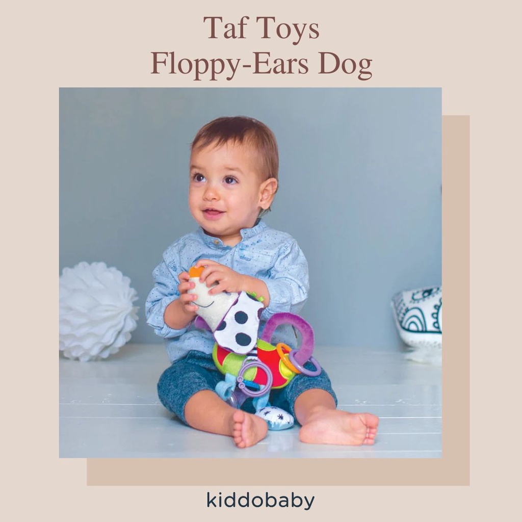 Jual Taf Toys Floppy-Ears Dog | Mainan Bayi | Shopee Indonesia
