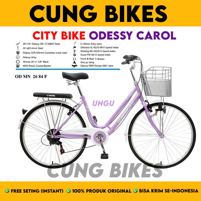 Jual Sepeda city bike keranjang mini 26 inch Odessy Carol 6 speed ...