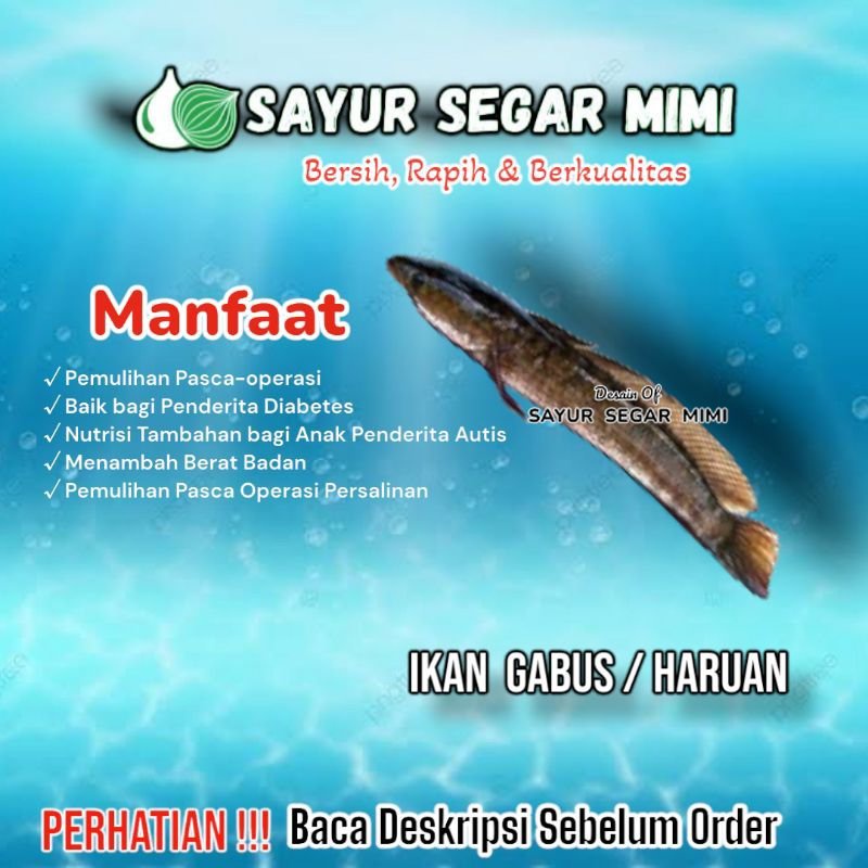 Jual Ikan Gabus / Haruan 1Kg Gratis Box (Kecuali Utuh) - Sᴀʏᴜʀ Sᴇɢᴀʀ ♏ ...