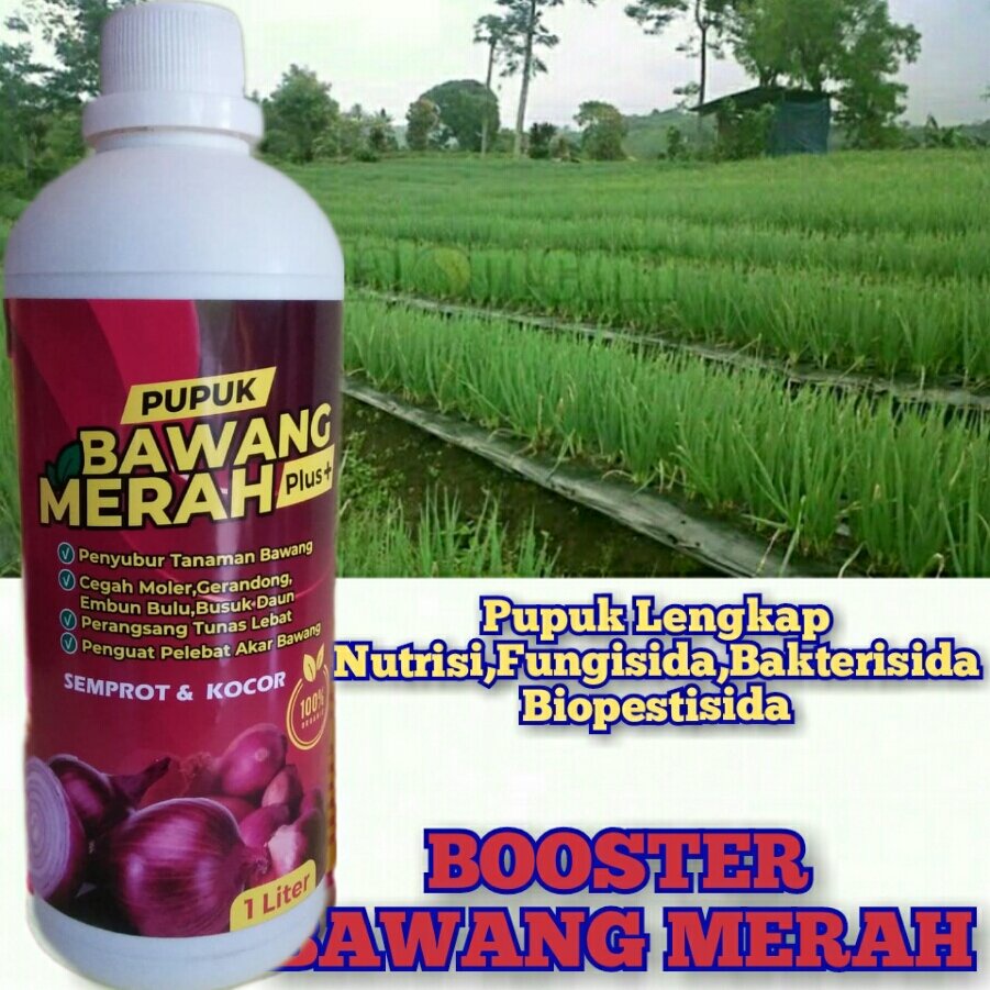 Jual [ 1LITER ]Pupuk Bawang Merah Penyubur Tanah Pelebat Tunas Cegah Hama Moler Embun Bulu Busuk ...