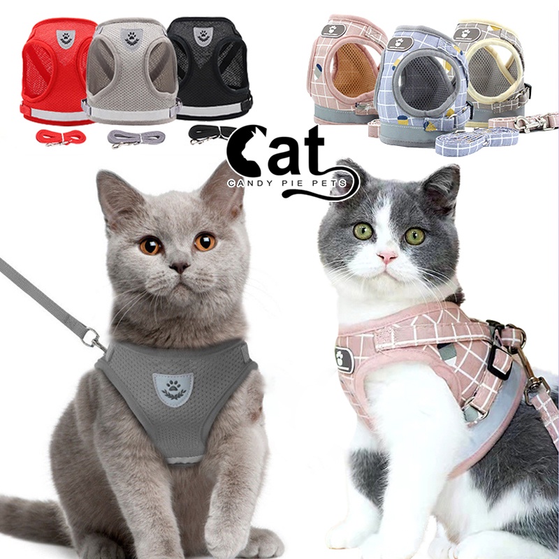 Jual Tali Tuntun Kucing Tebal Rompi Kucing Harness Pengikat Reflektif ...
