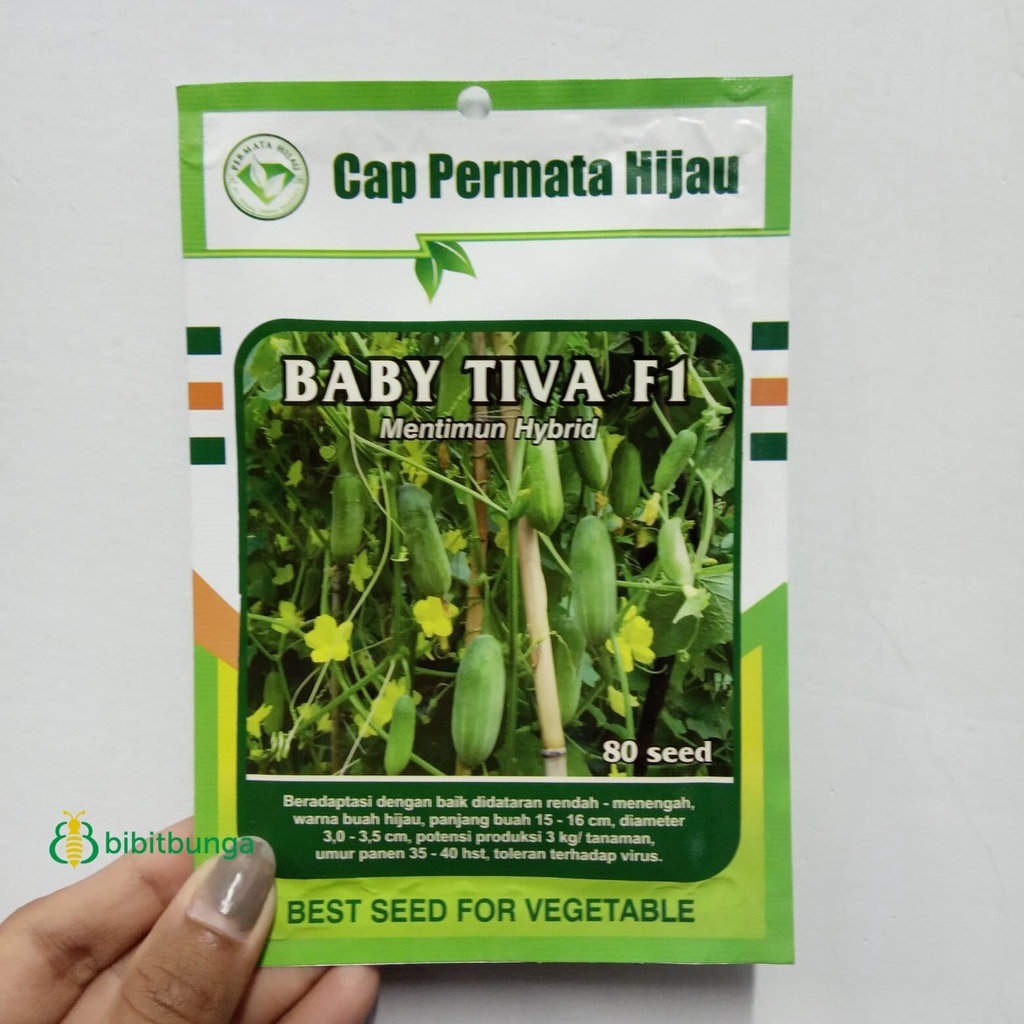 Jual Benih Bibit Mentimun Bayi BABY TIVA F1 Timun Kecil Hibrida Isi 80 ...