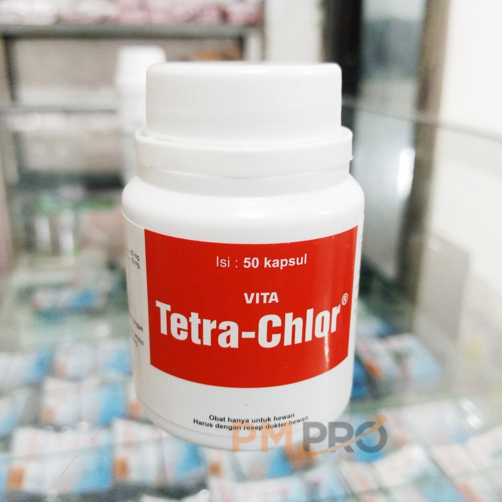 Jual TETRA CHLOR 50 KAPSUL -Medion Obat Pilek Batuk Snot Ngorok Crd ...
