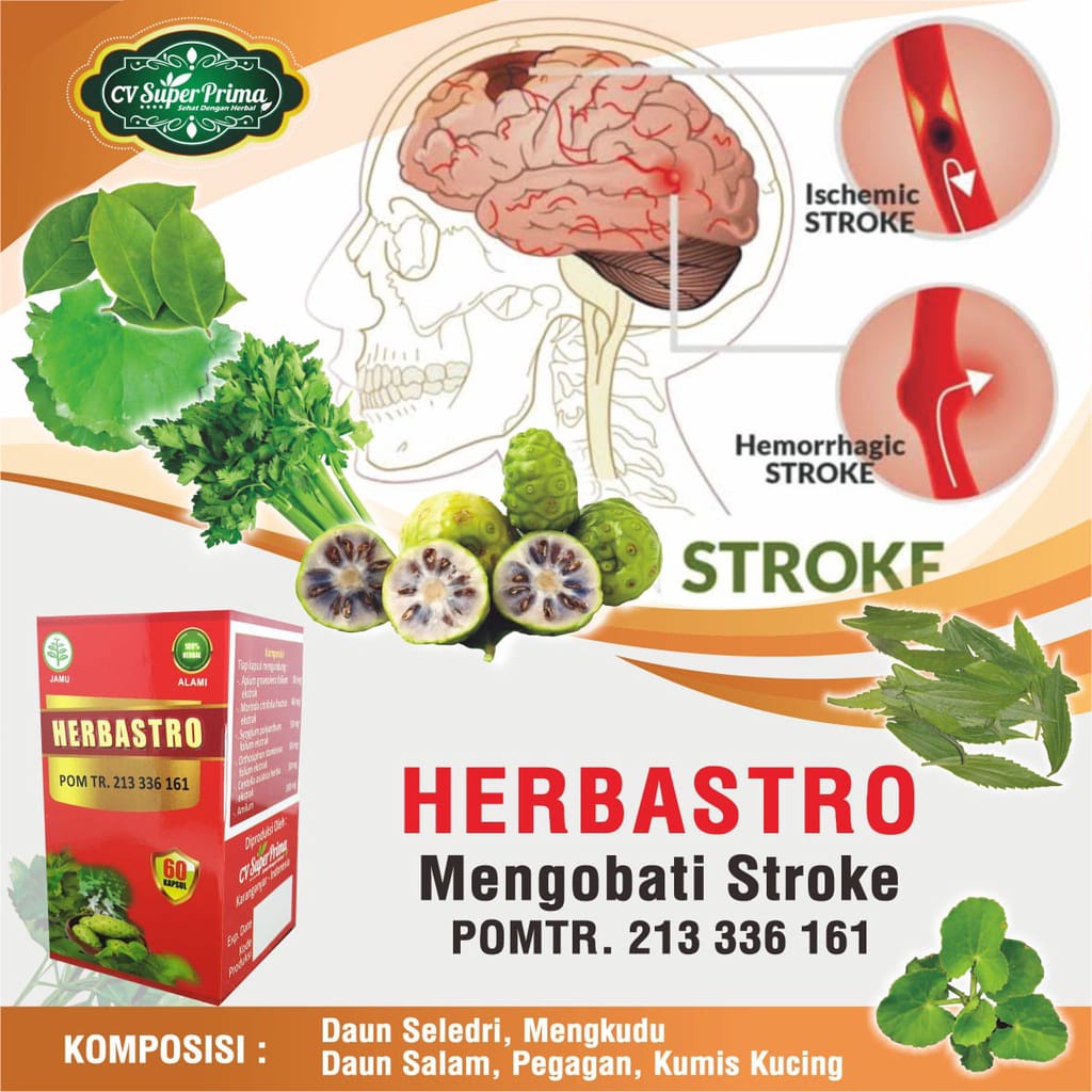 Jual HERBAL STROKE OBAT STROKE HERBASTRO CV SUPER PRIMA OBAT HERBAL ...