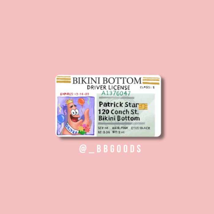 Jual Kartu Flazz BCA gen 2 SPONGEBOB / PATRICK DRIVER LICENSE / SIM Rp ...