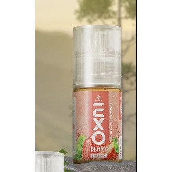 Jual Monk EXO Berry Pods Friendly 10MG 30ML by Monk Cloud | Shopee ...