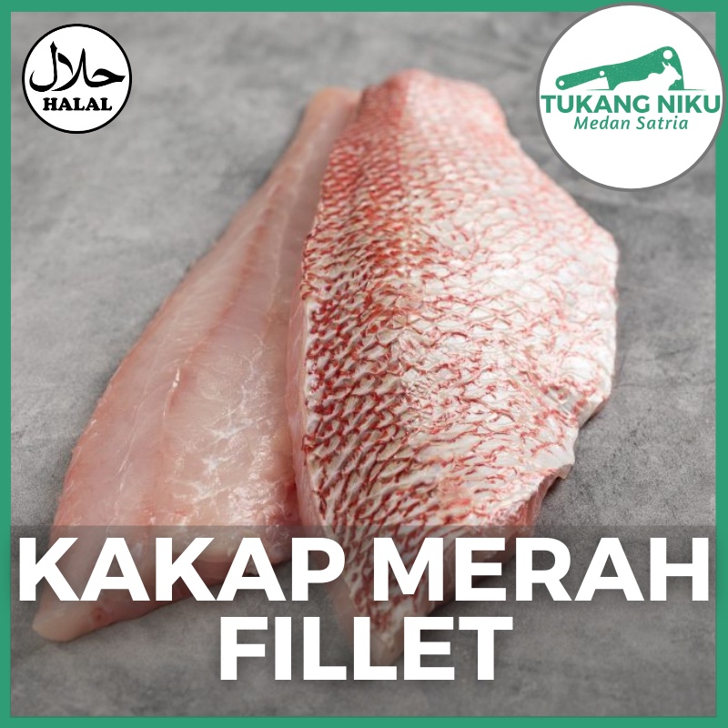 Jual KAKAP FILLET MERAH - IKAN SEGAR FROZEN FRESH BEKU KUPAS BERSIH ...