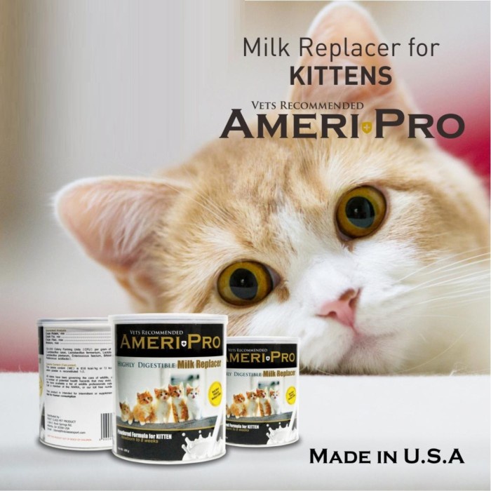 Jual AMERIPRO Susu Kucing Kitten / Milk Replacer 200gr | Shopee Indonesia