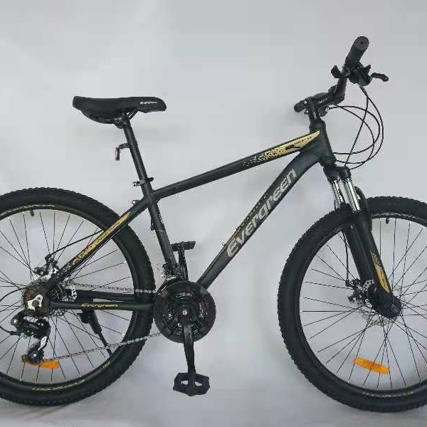 Jual Sepeda Gunung alloy 26 inc mtb evergreen 24 speed full shimano rem ...