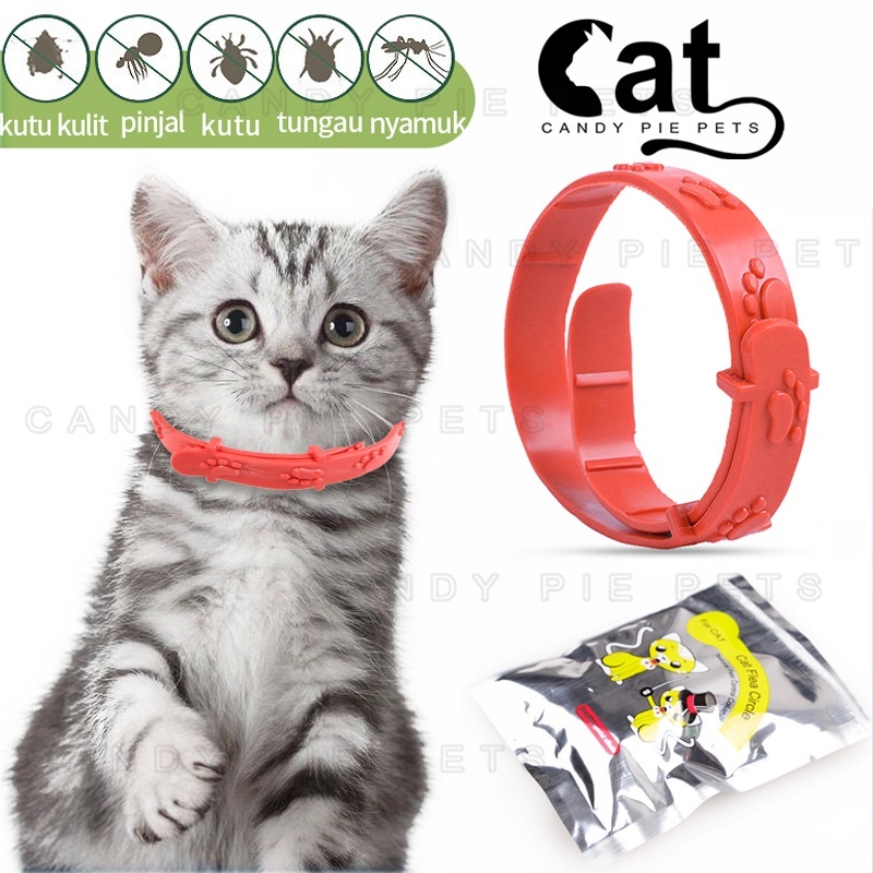 Jual Kalung Anti Kutu Kucing Original Kalung Kutu Anak Kucing Anjing ...