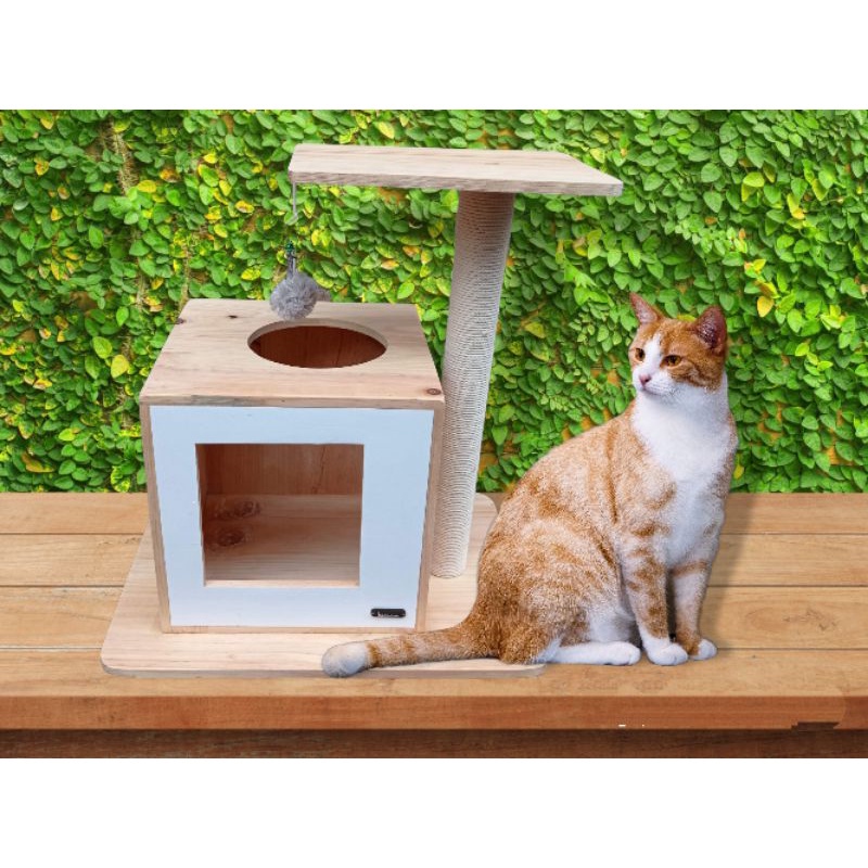 Jual Cat Condo, Rumah Kucing, garukan cakaran kucing cat condo bagus ...