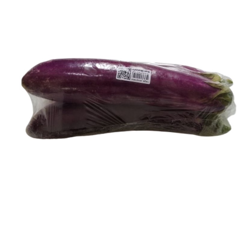 Jual Terong Ungu & Hijau | Shopee Indonesia