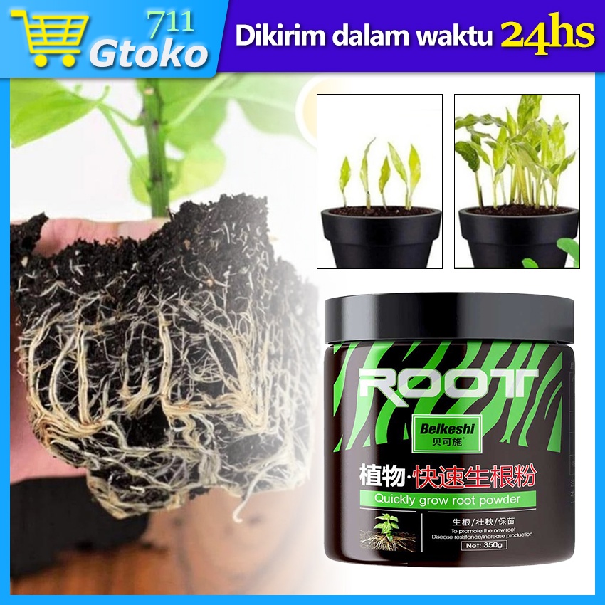 Jual Serbuk Hormon Penumbuh Akar Tanaman Root Rapid Growth Powder Pupuk ...