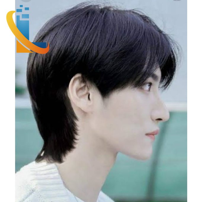Jual Wig Pria Mulet Pendek Wig Gaya Korea | Shopee Indonesia