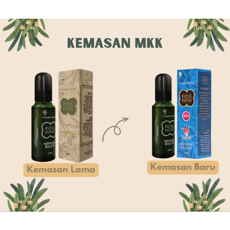 Jual MINYAK KUTUS KUTUS ASLI / MINYAK KUTUS ORIGINAL 100% / MINYAK ... Jual MINYAK KUTUS KUTUS ASLI / MINYAK KUTUS ORIGINAL 100% / MINYAK ...
