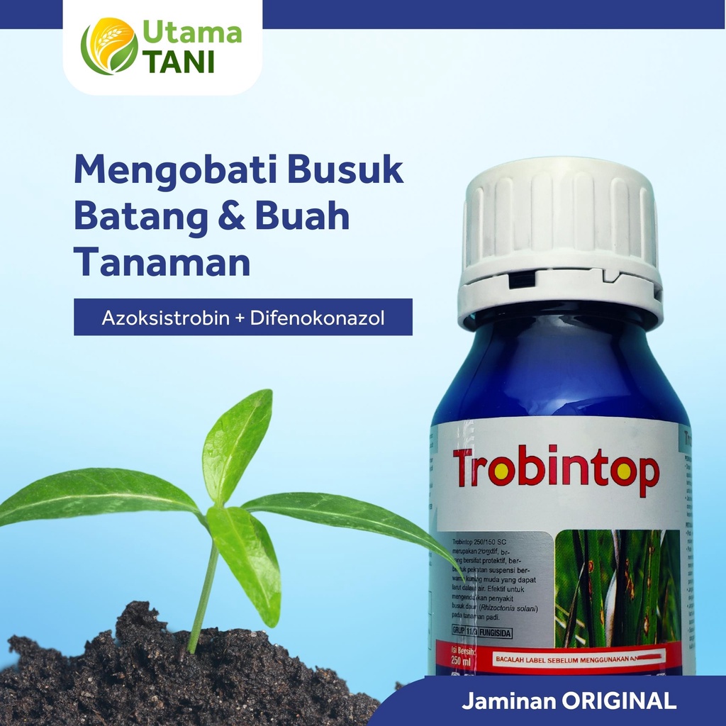 Jual Obat Fungisida Pengendali Penyakit Busuk Buah, Daun dan Batang ...