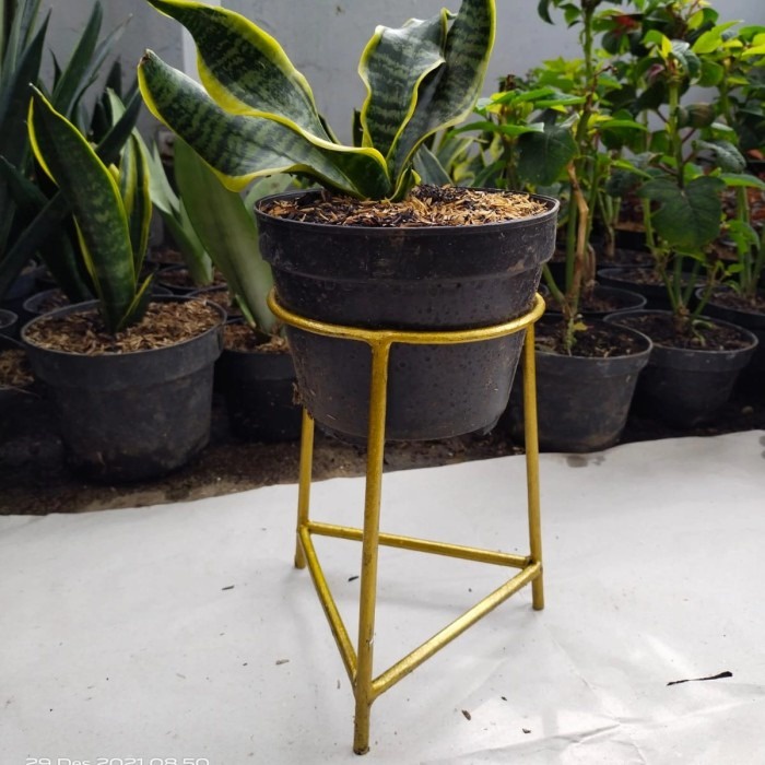 Jual Standing pot besi , rak pot besi diameter 15 cm, standing pot 3 ...