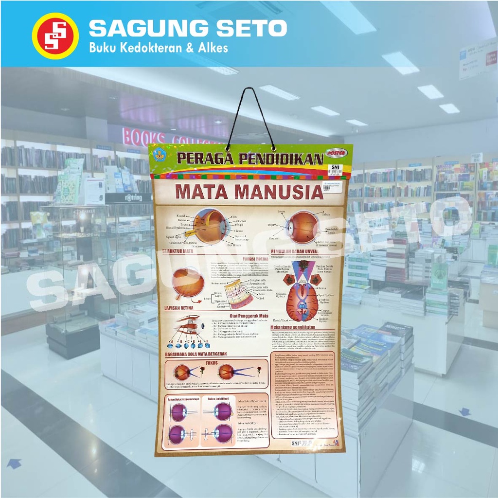 Jual POSTER PERAGA PENDIDIKAN MATA MANUSIA / POSTER MATA MASNUSIA ...