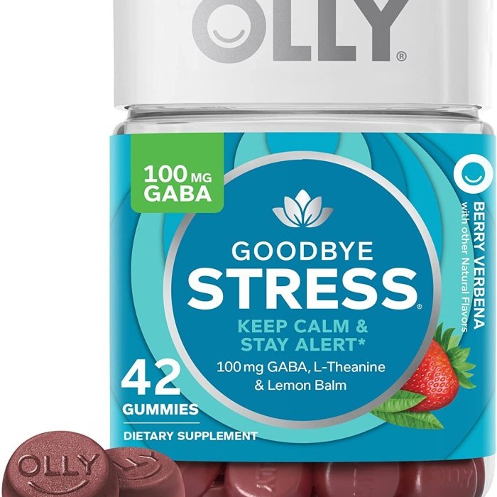 Jual OLLY Goodbye Stress Gummy Chewable Supplement Berry Verbina 42 ...