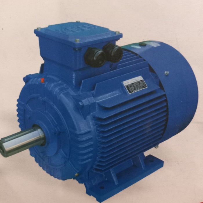 Jual Dinamo Elektromotor 2 hp 2 pk 1,5 kw 3 phase 3 fase 2800 RPM Moto Best | Shopee Indonesia