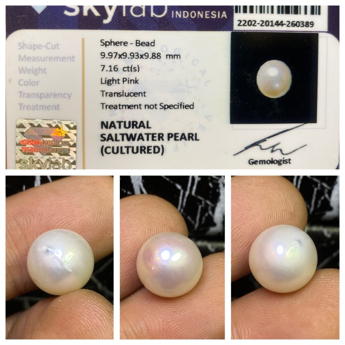 Jual Natural 7.16ct Light Pink Pearl Mutiara Air Laut Asli | Shopee ...
