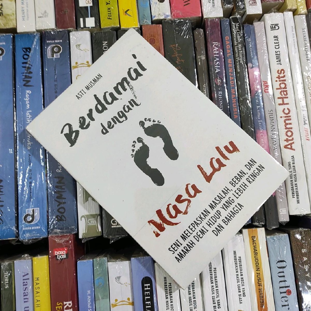 Jual Berdamai dengan masa lalu seni melepaskan masalah beban dan amarah demi hidup yang lebih ...