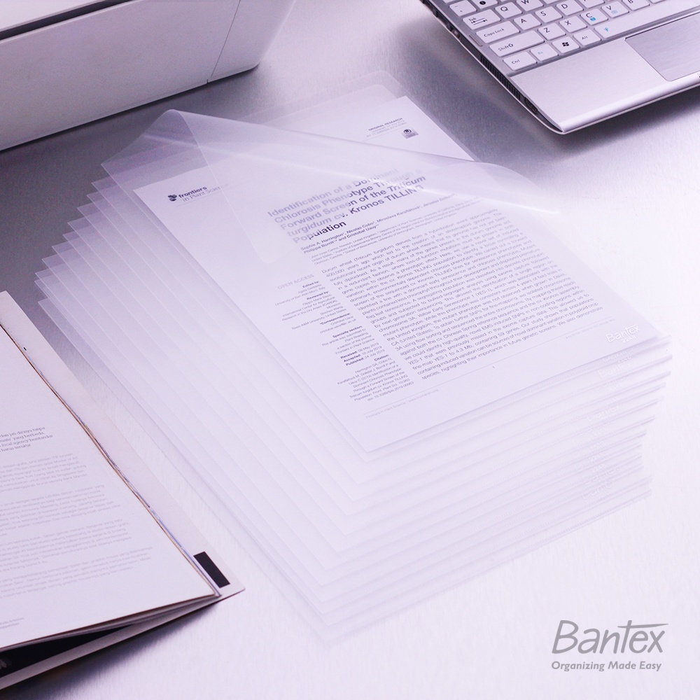 Jual Bantex Map L Plastik Bening Clear Sleeve Folio F4 Transparan ...