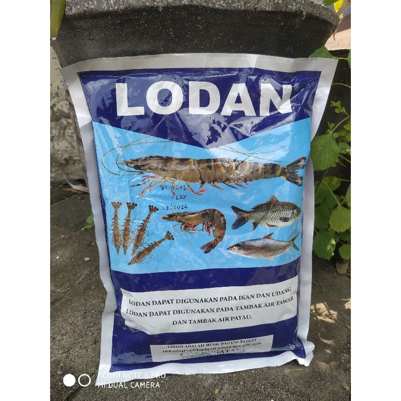 Jual LODAN IKAN DAN UDANG 500 GRAM | Shopee Indonesia