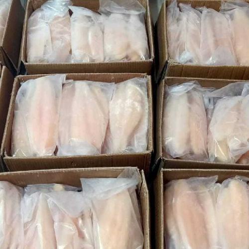 Jual dori fillet frozen seafood segar | Shopee Indonesia