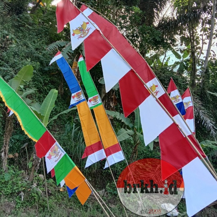 Jual EDD bendera merah putih umbul umbul segitiga - Biru | Shopee Indonesia