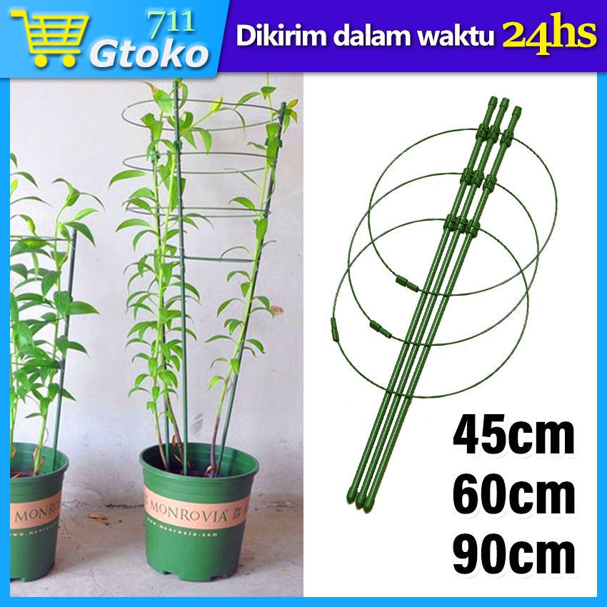 Jual Tiang Penyangga Tanaman Rambat Ajir Tanaman Plant Support Climbing ...
