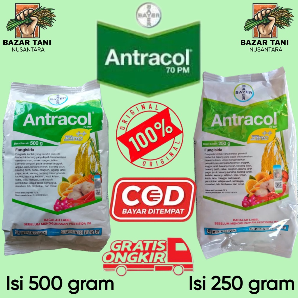 Jual Fungisida Antracol obat jamur tanaman Antrakol pestisida tanaman ...