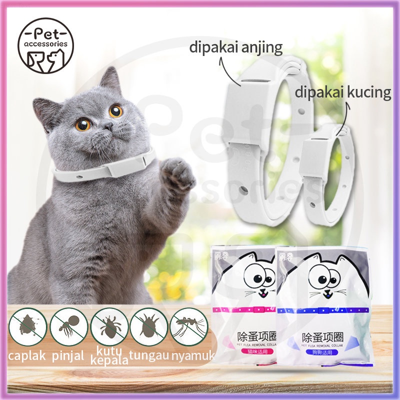 Jual kalung anti serangga pinjal dan anti nyamuk ukuran bisa ...