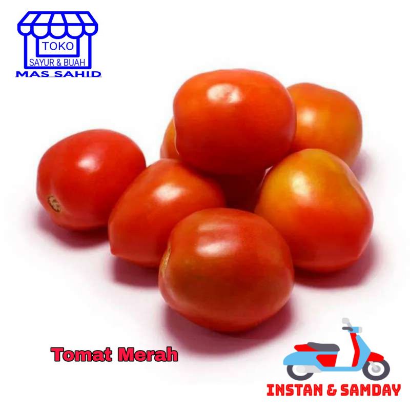 Jual INSTAN Tomat Merah Tomat Segar 1 kg | Shopee Indonesia