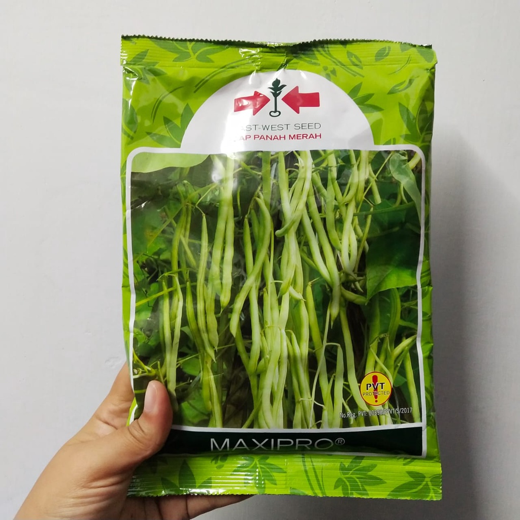 Jual Benih Buncis Maxipro 500gr Bibit Biji Sayur Buah Hijau Cap Panah ...