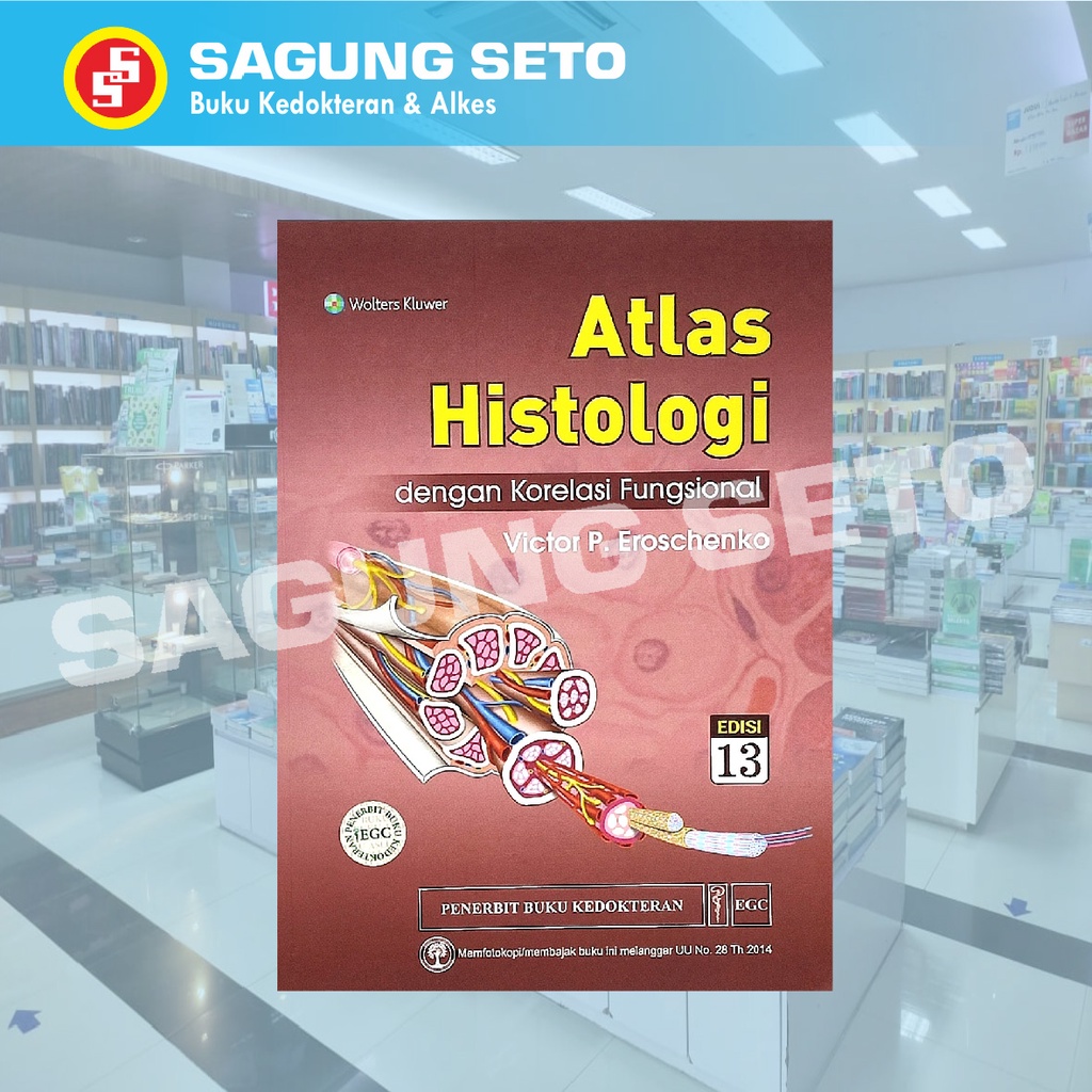 Jual ATLAS HISTOLOGI DIFIORE EDISI 13 - VICTOR P. EROSCHENKO | Shopee ...