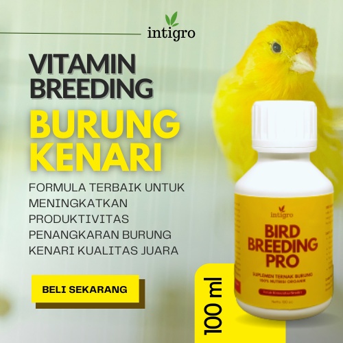 Jual ( Restoe ) Vitamin Breding Burung Kenari Breeding / Vitamin Obat ...