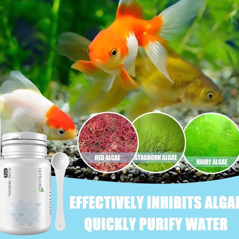 Jual anti algae tablet / anti algae tablet 50 gram / anti algae / anti ...