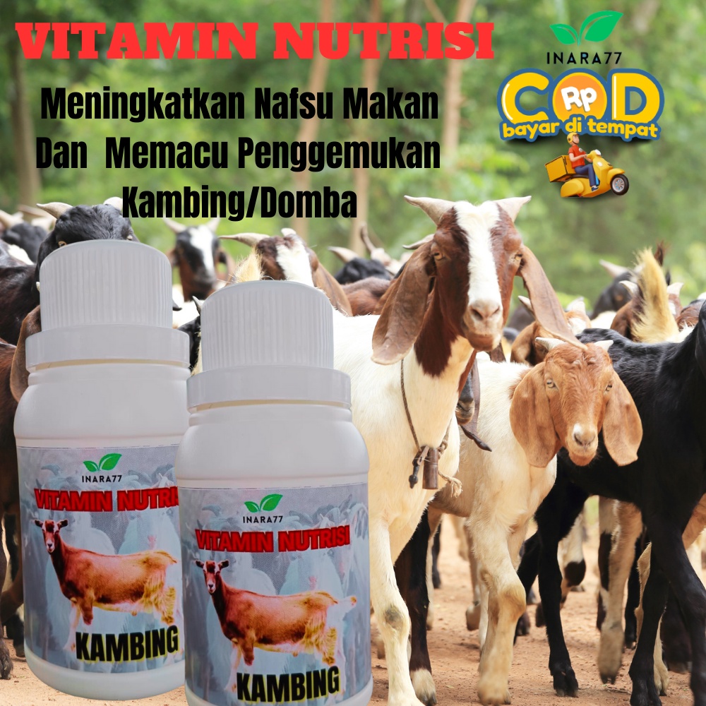 Jual Vitamin Penggemuk kambing domba 100 ml/Nutrisi vitamin Penggemuk ...