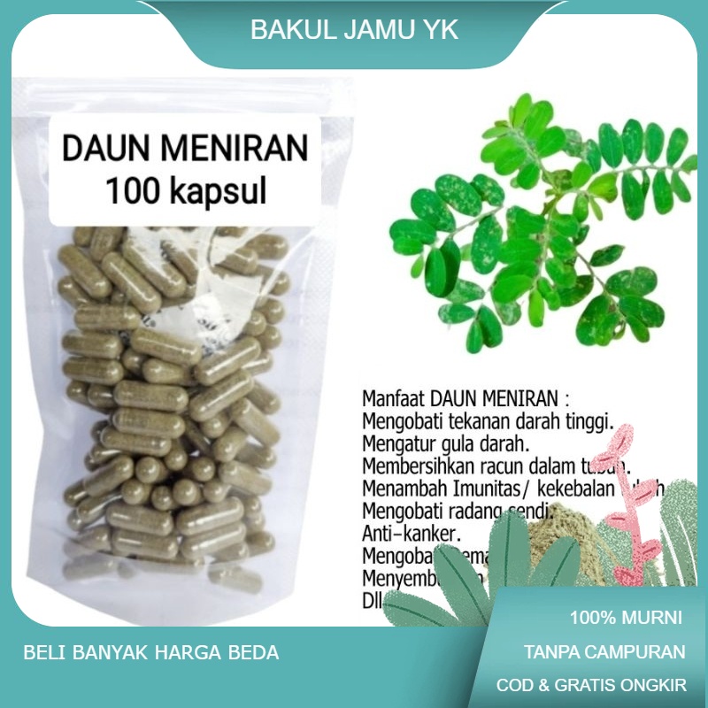 Jual Daun MENIRAN isi 100 kapsul untuk rematik sakit pinggang | Shopee ...