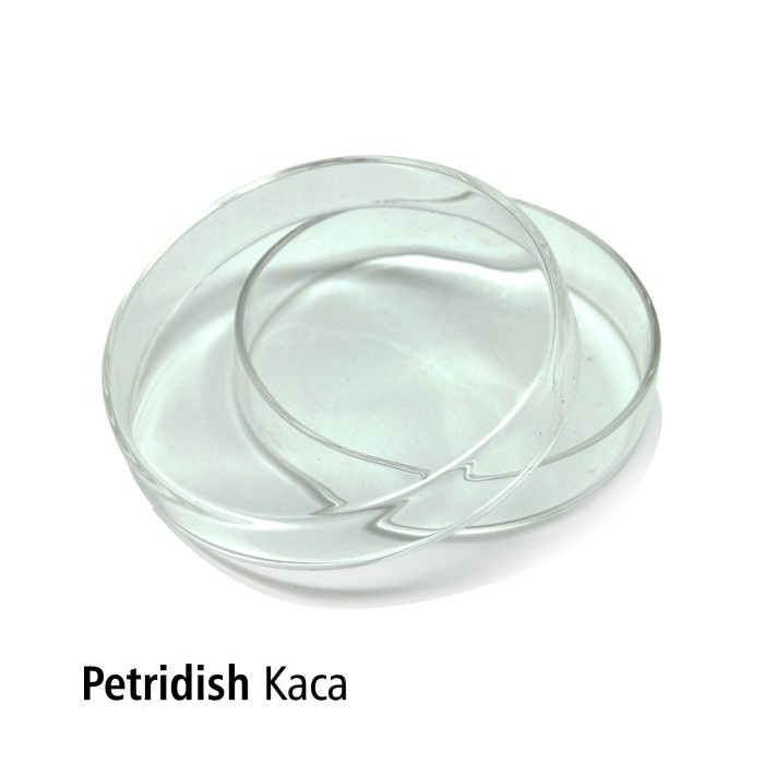 Jual Cawan Terlengkap & Harga Terbaru Juni 2026 | Shopee Indonesia