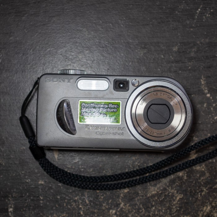 Jual Sony DSC-P10 Compact Pocket Camera Camdig Digicam Digital | Shopee ...