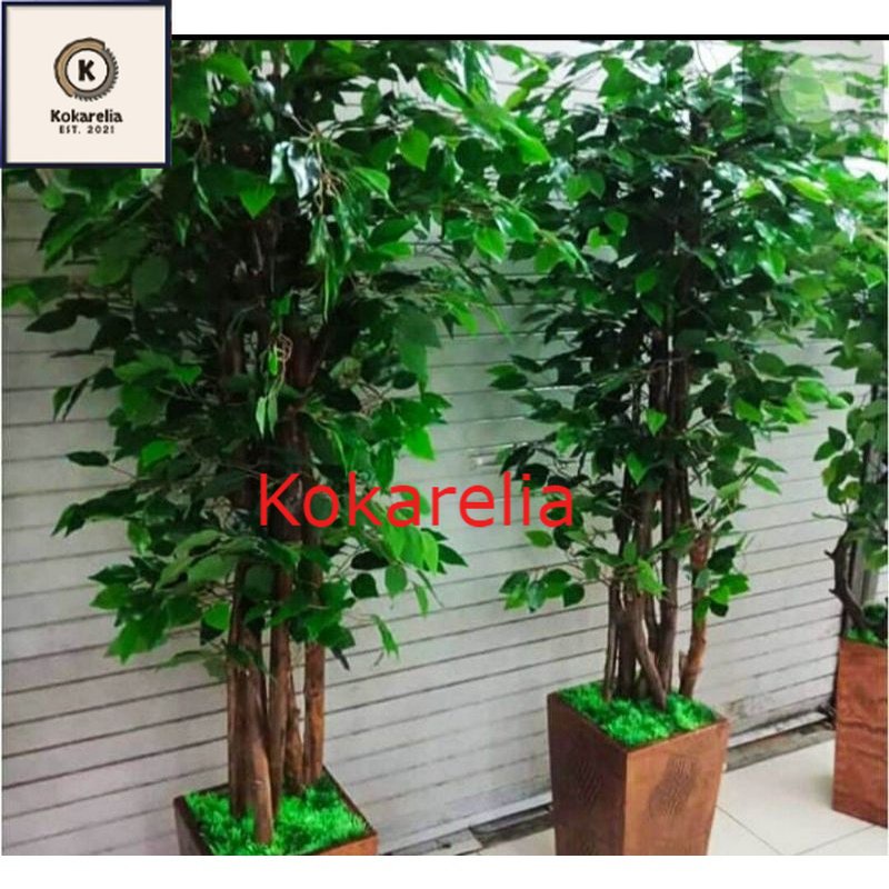 Jual pohon hias 150cm jumbo beringin artificial/rimbun daun bahan latex ...