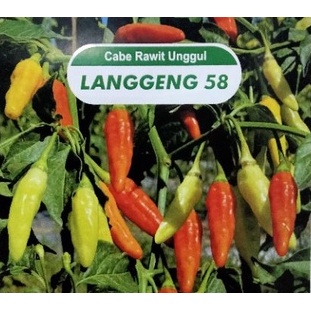 Jual ISI 10 Biji Benih Cabe Rawit LANGGENG 58 Kemasan repack - Bibit ...